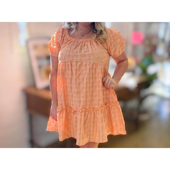& MERCY | Dresses | New Mercy Luis Babydoll Dress In Cantaloupe Swiss ...